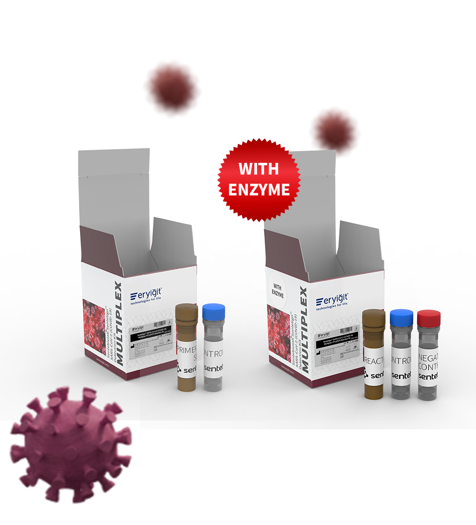 Eryiğit Medical Devices Inc. - Technologies for Life